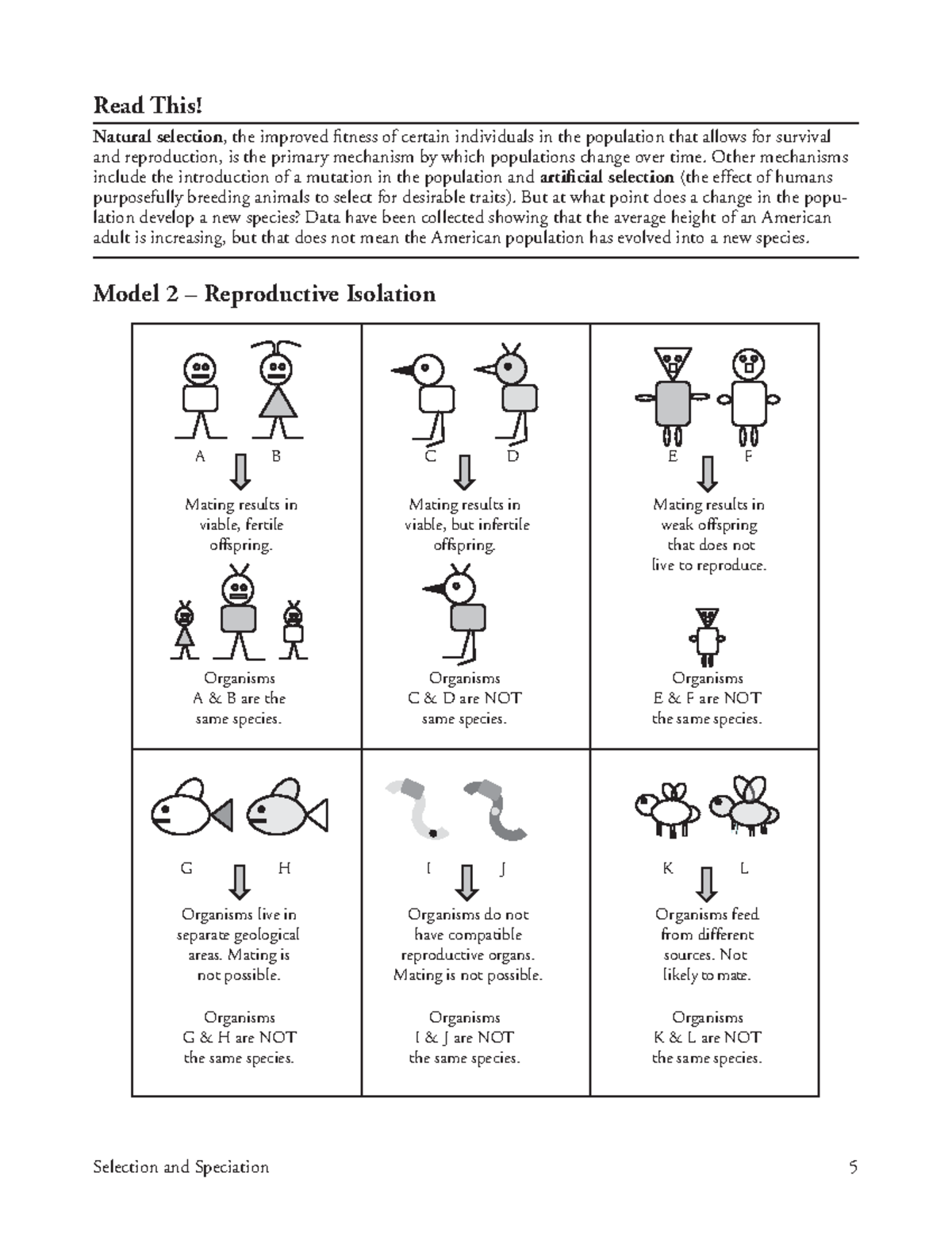 Pogil+21+Selection+and+Speciation+p1-7 - Selection and Speciation 5 ...