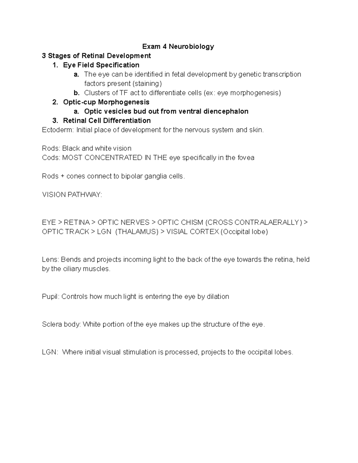 Human Retinal Development - **Exam 4 Neurobiology 3 Stages of Retinal ...