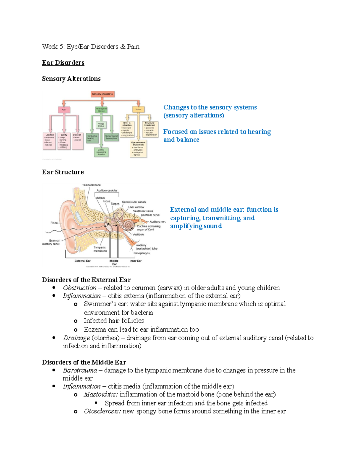 Patho Exam 2 Study Guide - Week 5: Eye/Ear Disorders & Pain Ear ...