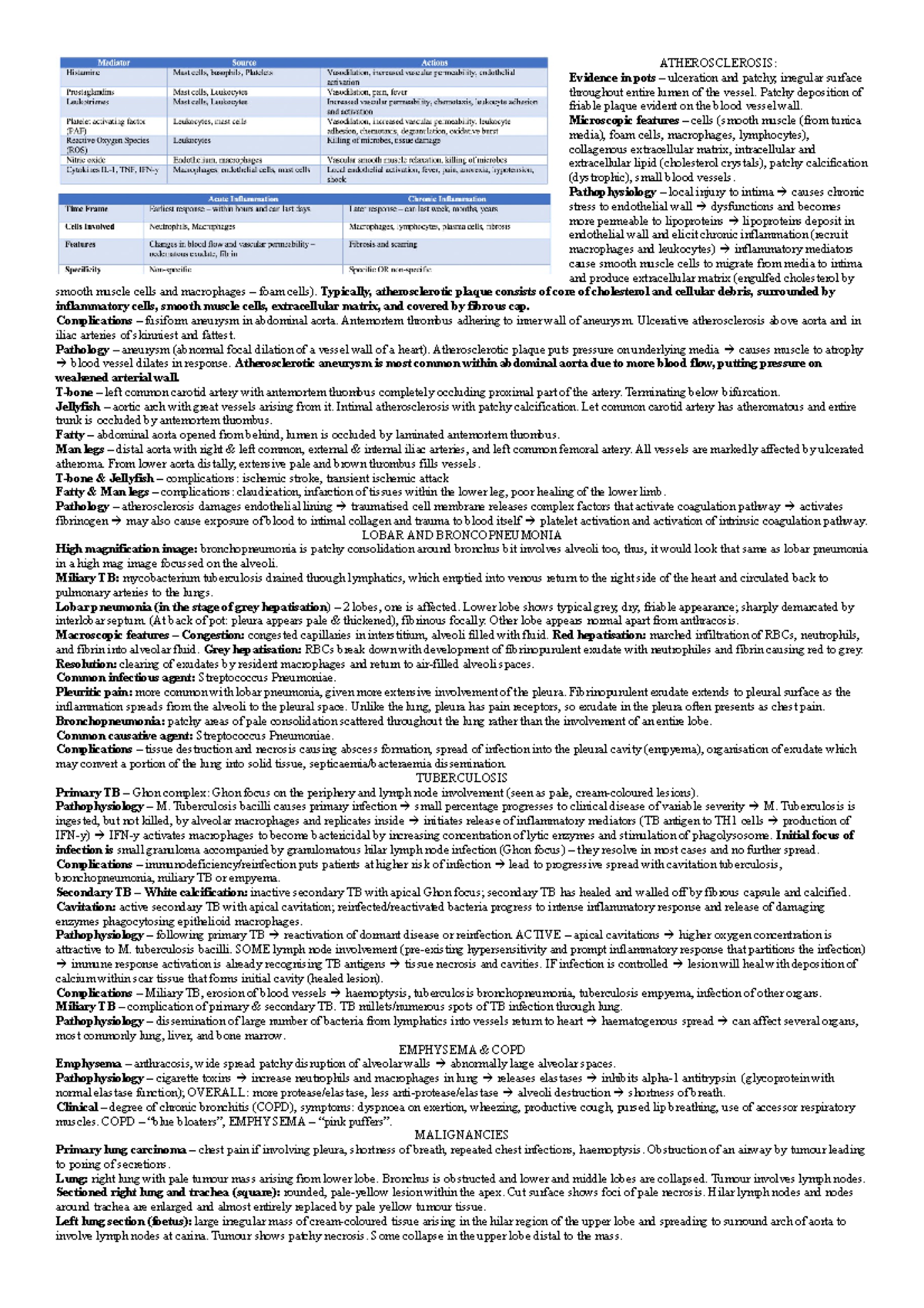 Notes - end of semester revision. covers all topics. - PATHOL 3003 ...