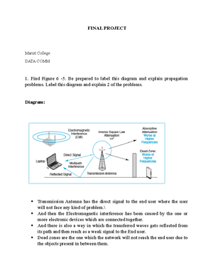 Final Project 8 - FINAL PROJECT Marist College DATA COMM 8. Explain the ...