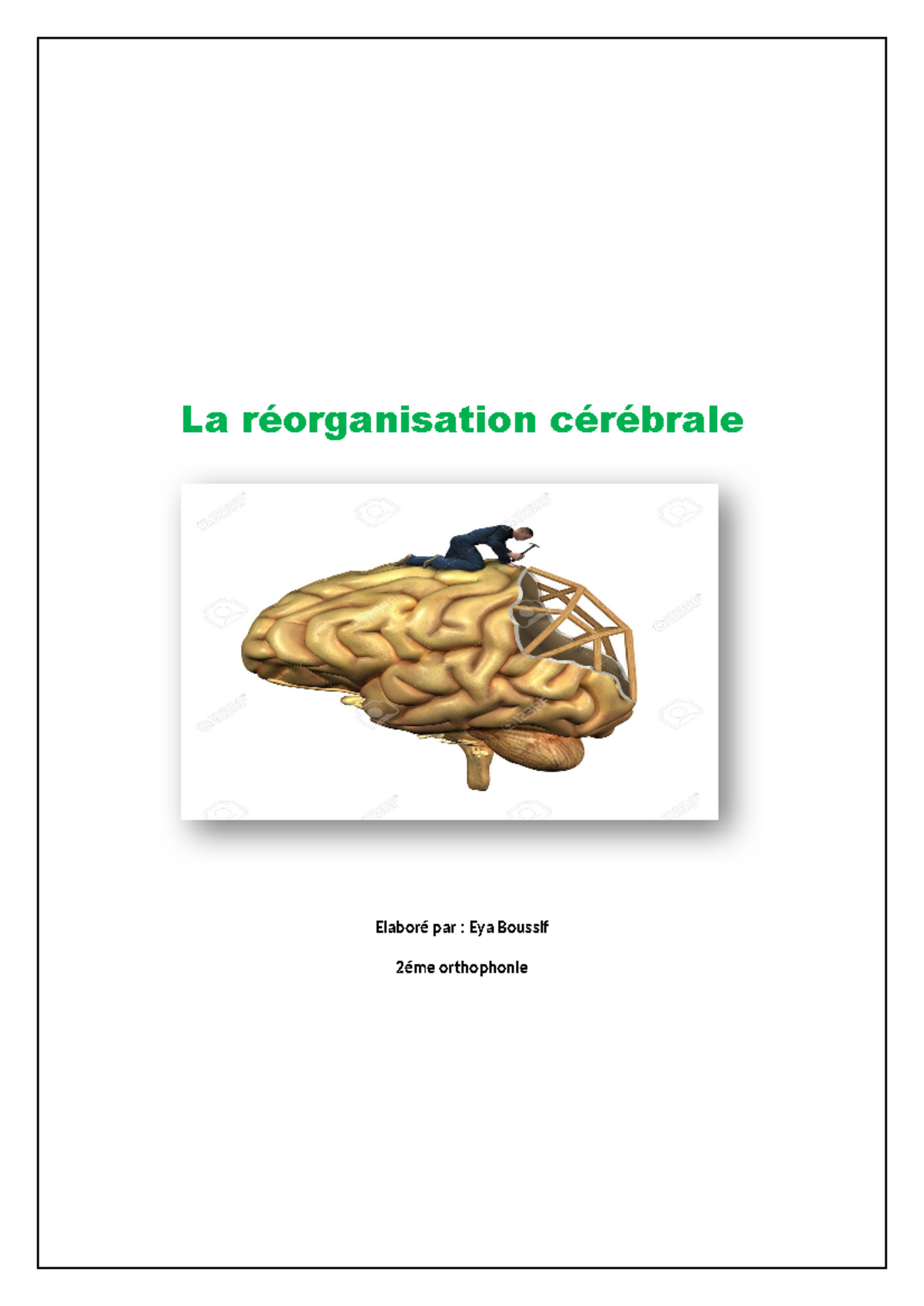LE Cerveau - neuro - La réorganisation cérébrale Elaboré par : Eya ...
