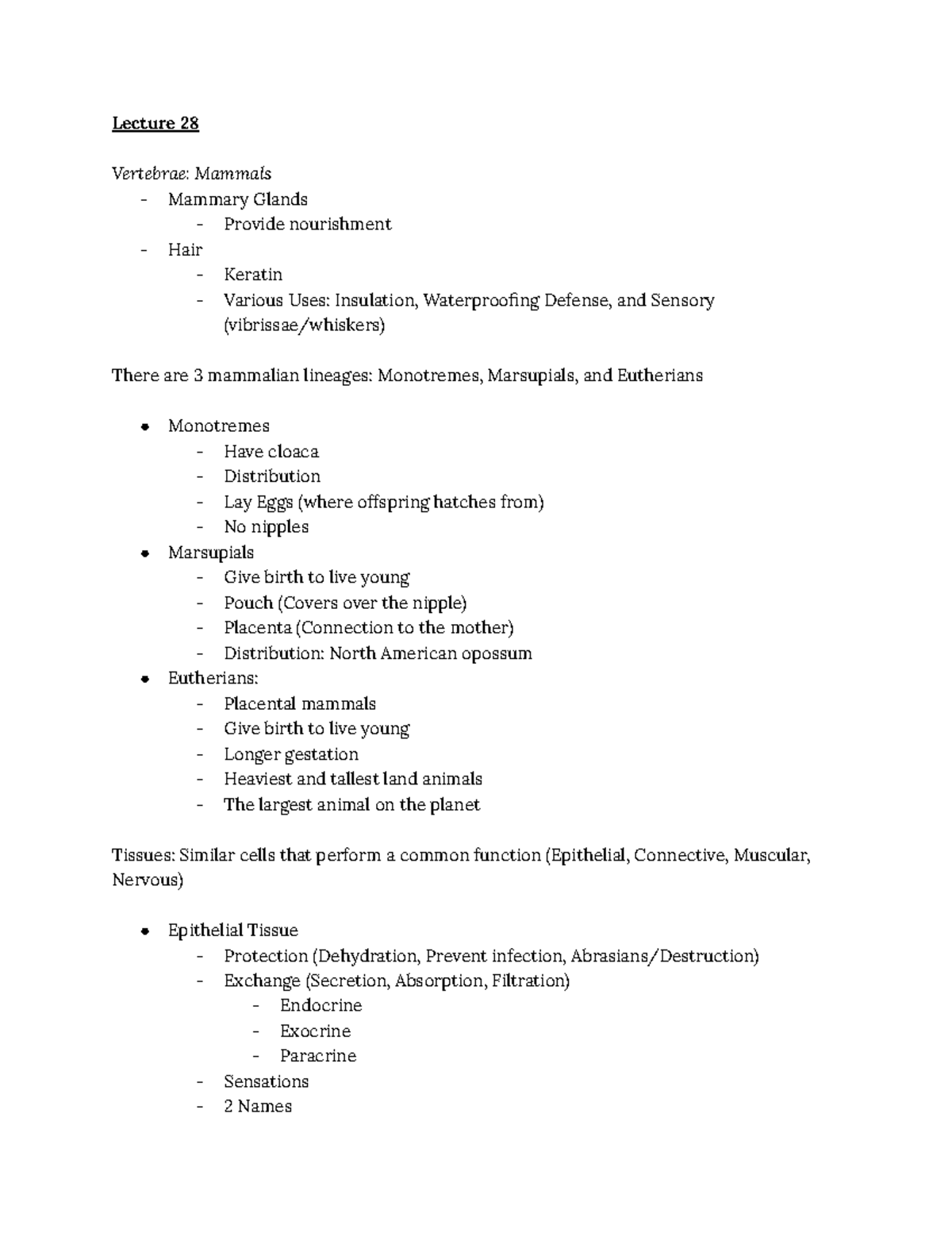 Lecture 28 BSC 116 - Lecture 28 Vertebrae: Mammals - Mammary Glands - Provide nourishment - Hair ...
