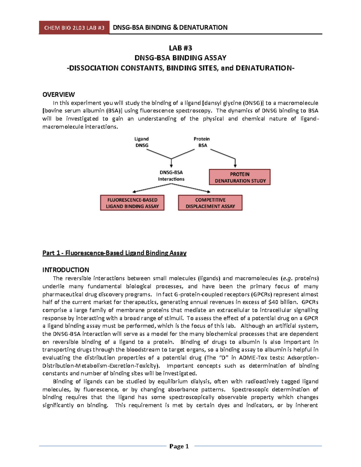 2023 CB 2L03 Lab #3 BSA-DNSG - LAB DNSG-BSA BINDING ASSAY -DISSOCIATION ...