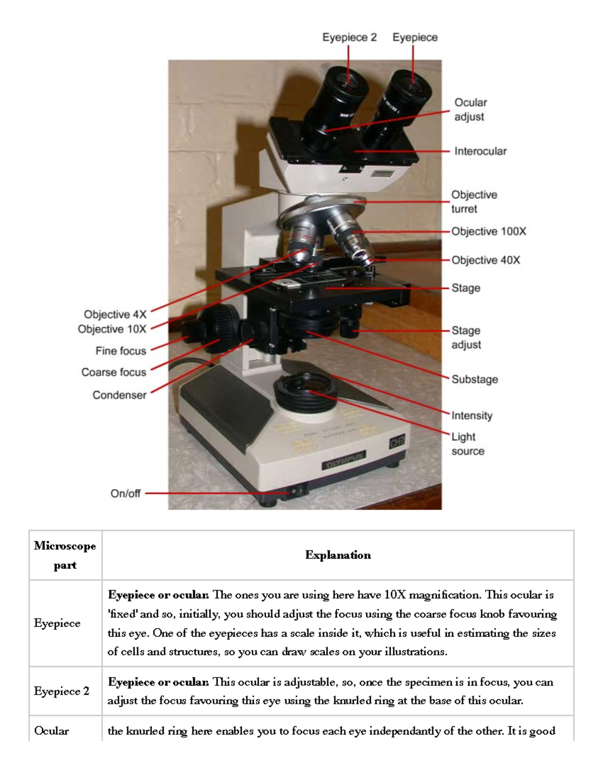 How to use a microscope - for lab purpuses - Microscope part ...