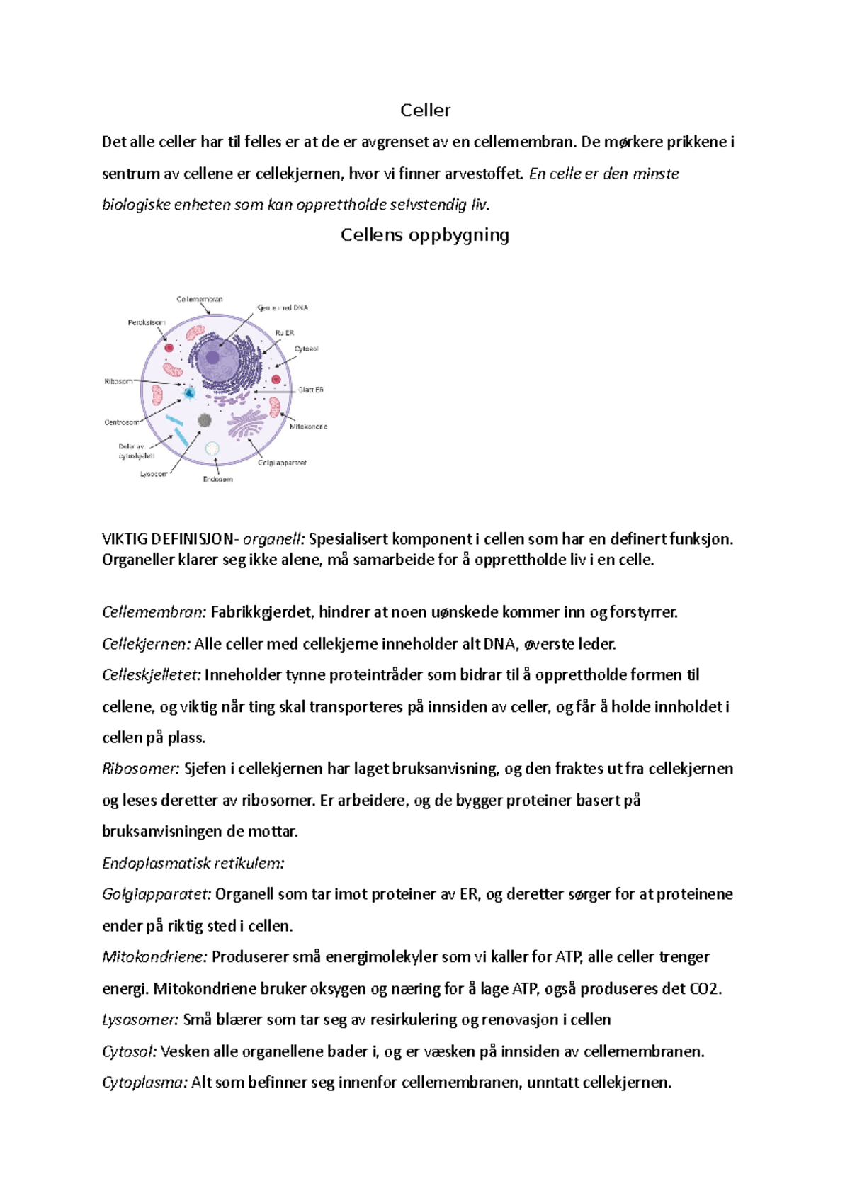Anatomi, fysiologi cellebiologi - Celler Det alle celler har til felles er at de er avgrenset av ...