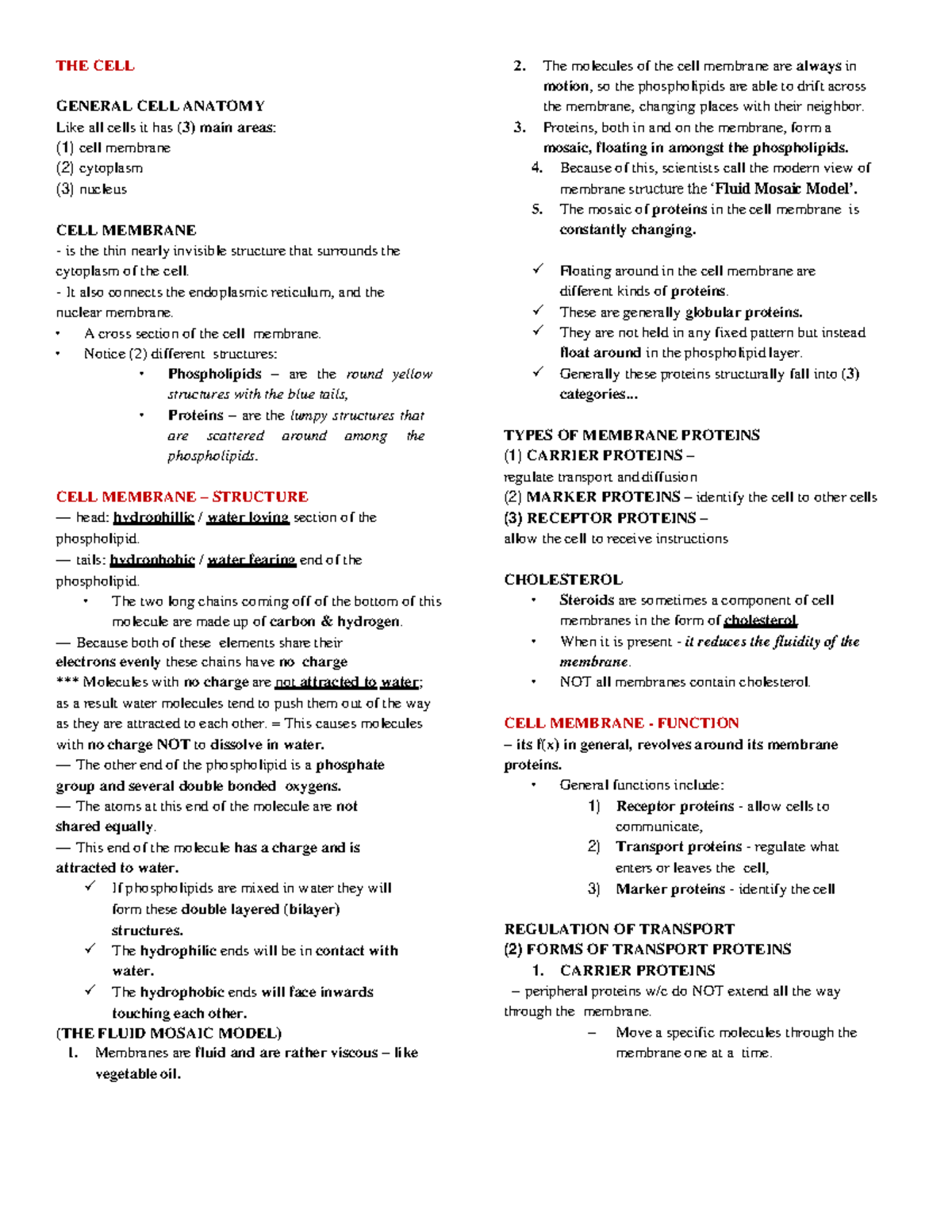 THE CELL - THE CELL GENERAL CELL ANATOMY Like all cells it has (3) main ...
