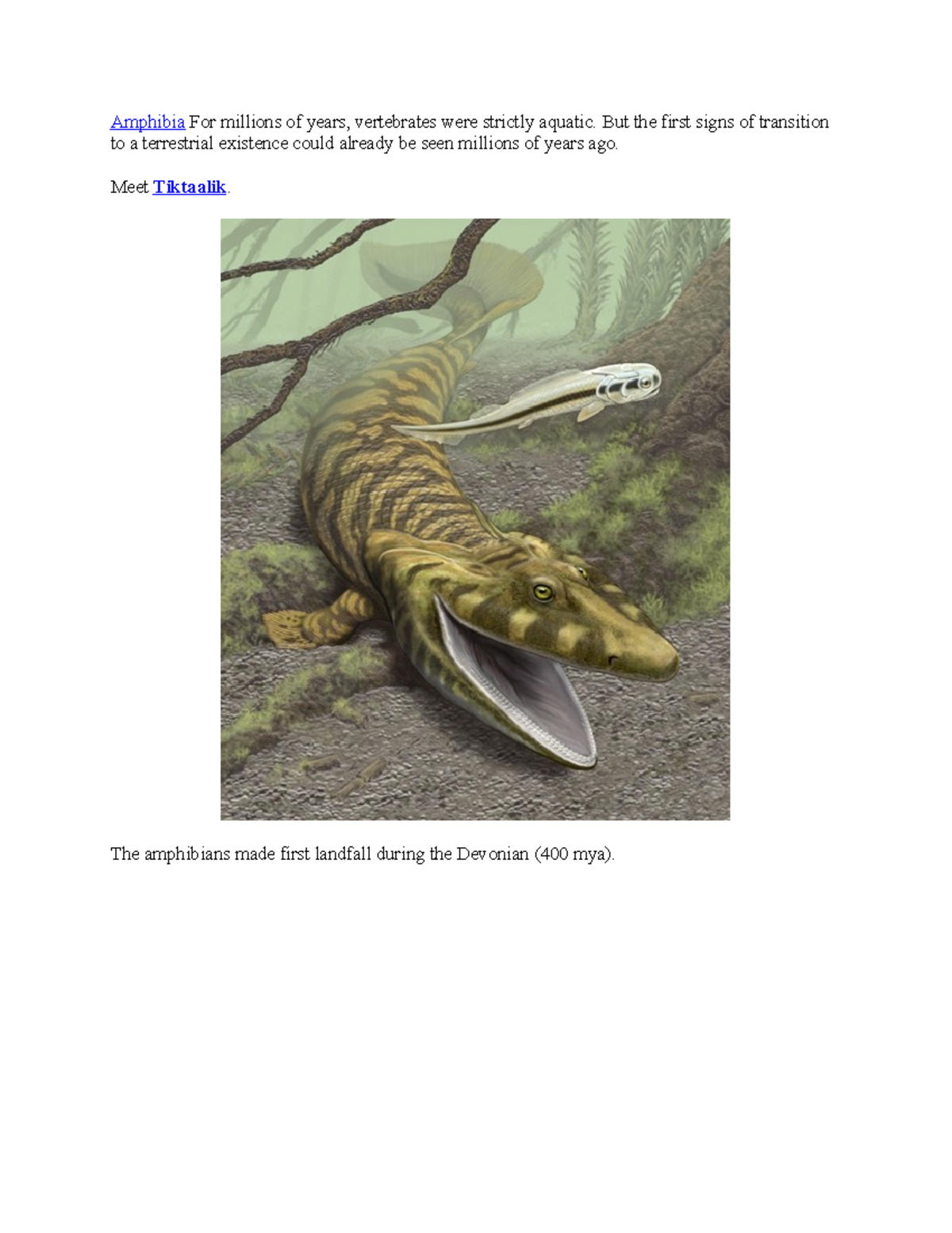 Lecture 12 - Amphibia For millions of years, vertebrates were strictly ...