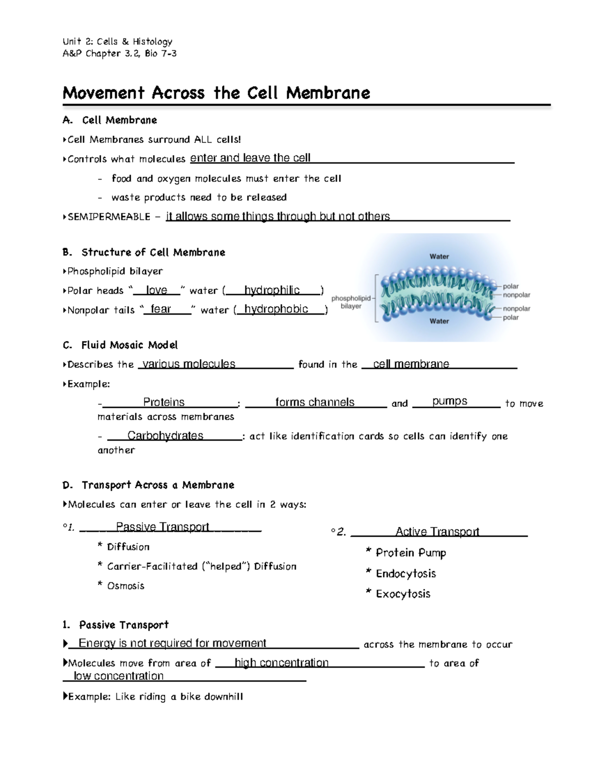 Cell notes fillin students - Unit 2: Cells & Histology A&P Chapter 3 ...