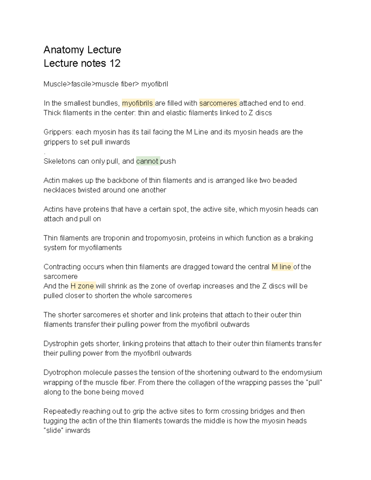 Anatomy Lecture notes 12 - Anatomy Lecture Lecture notes 12 Muscle ...