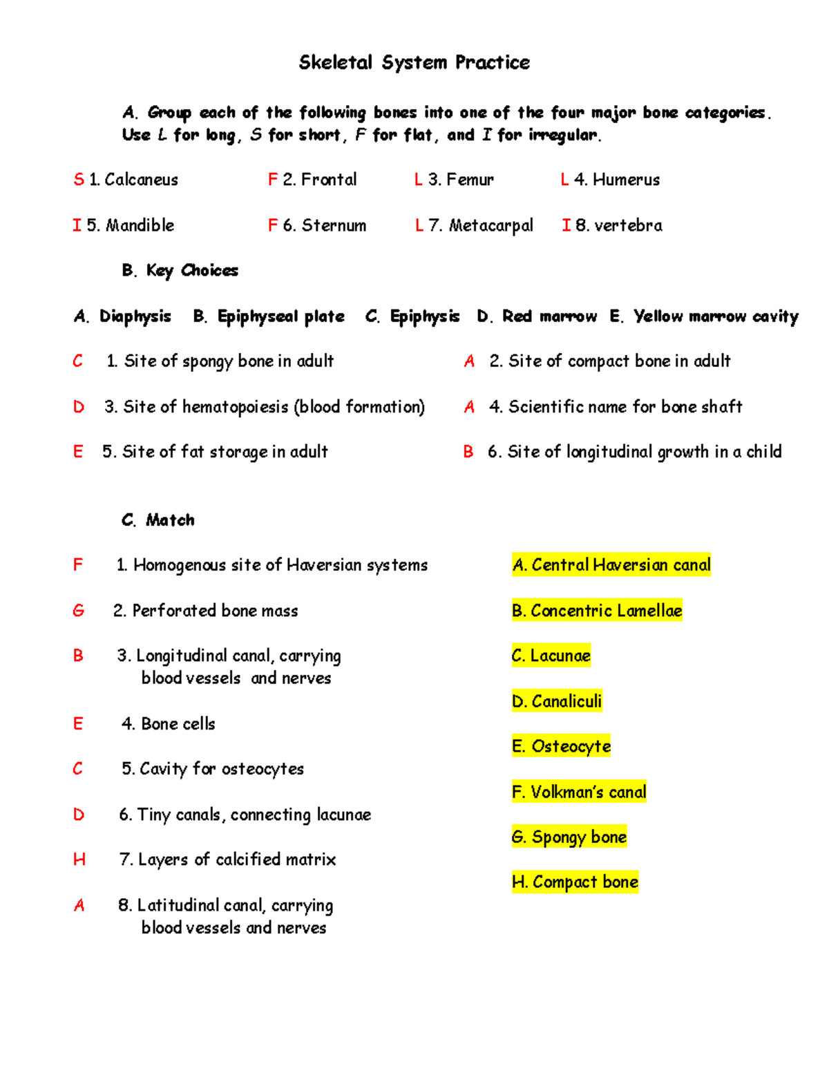 Skeletal system practice - Skeletal System Practice A. Group each of ...