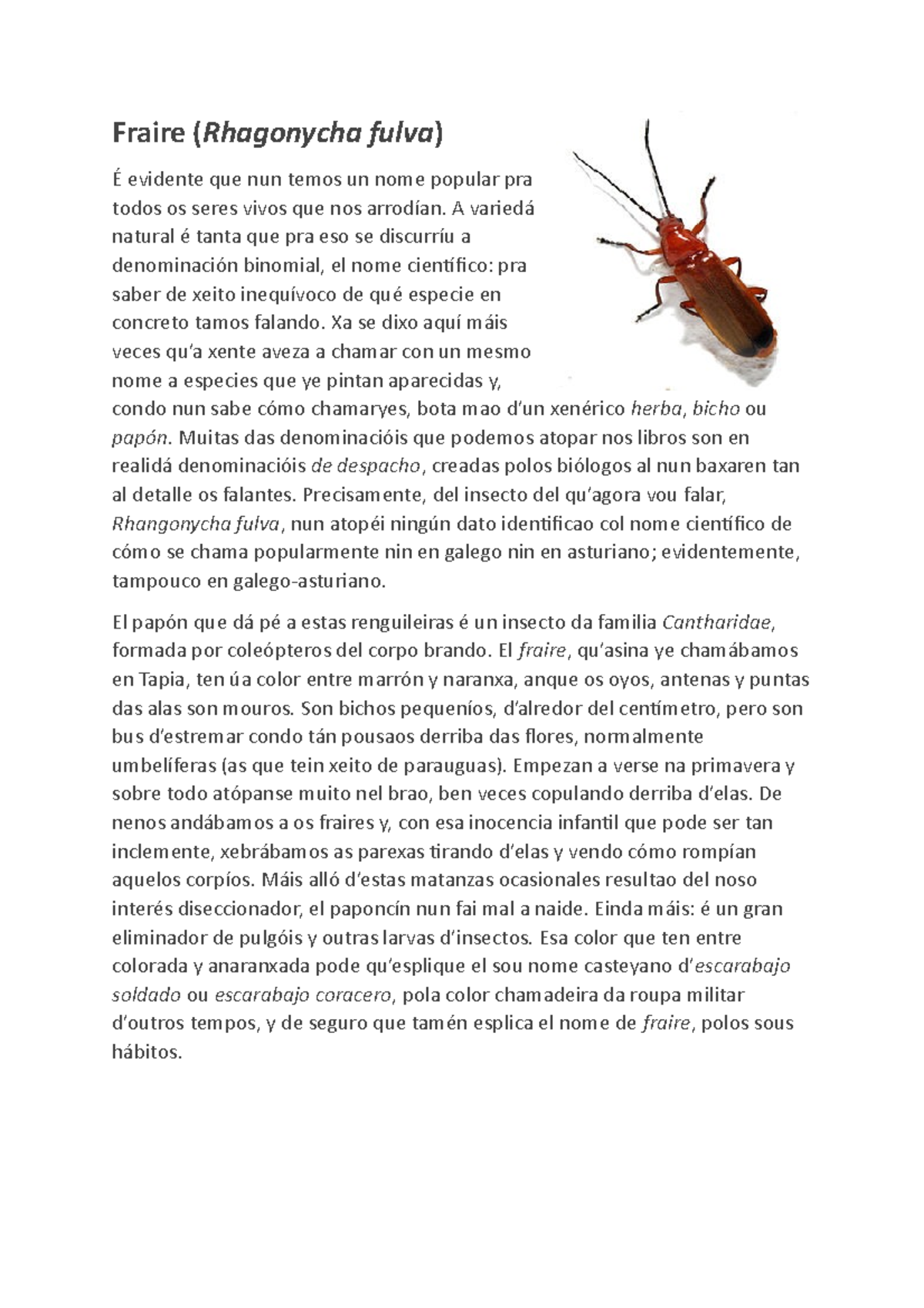 Fraire - Material para el trabajo en clase de Gallego-Asturiano ...