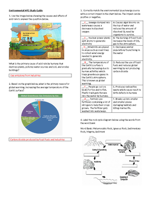 System Disorder Concept Map - ACTIVE LEARNING TEMPLATES THERAPEUTIC ...