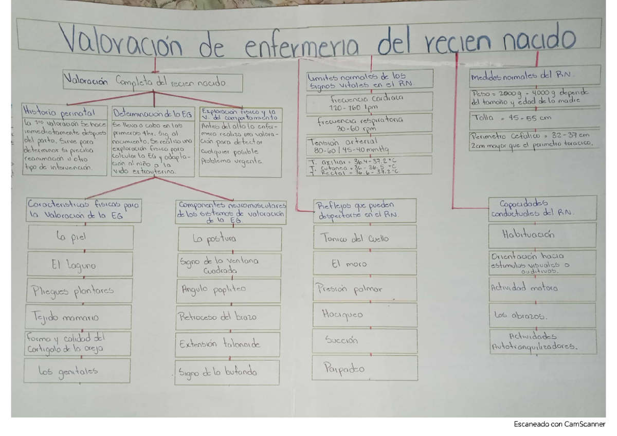 Chirinos mapas 21 22 27 - Khhu - Valoracion de enfermeria del recien ...