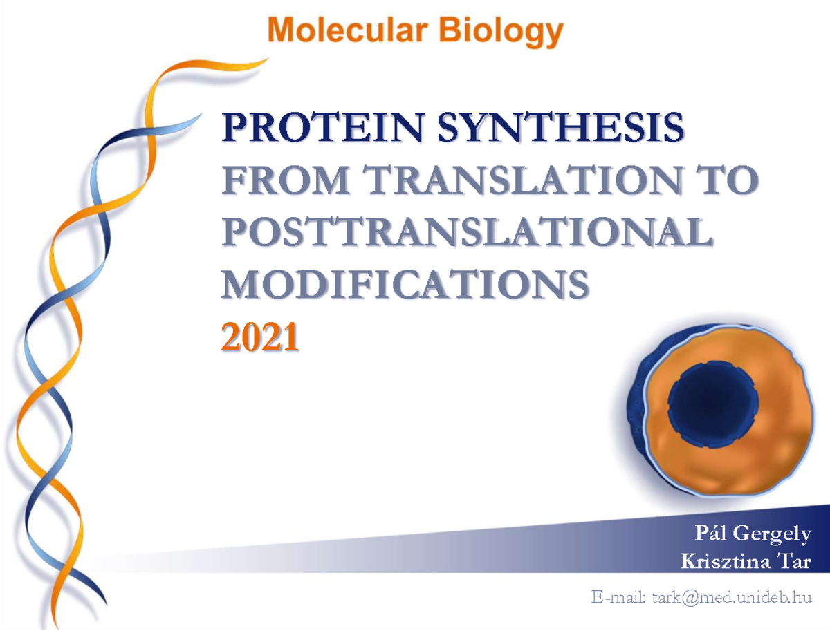 3.1. The Genetic Code and Protein Synthesis - PROTEIN SYNTHESIS FROM ...
