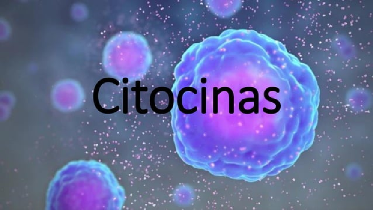 Citocinas.pdf - 20240424 174005 - Inmunología - Studocu