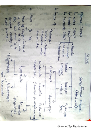 Cbse class 9 science notes chapter 3 atoms and molecules - Revision ...
