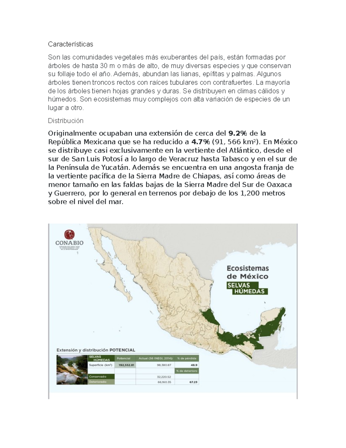 Selva humeda - Características Son las comunidades vegetales más ...