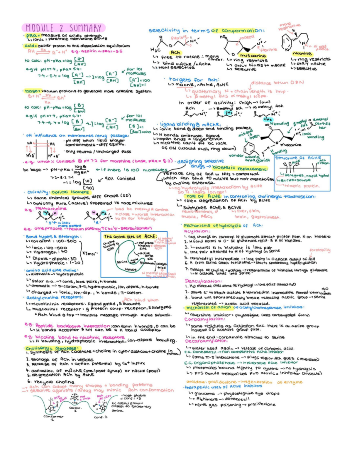 Module 2 Summary - MEDS2002 - Studocu