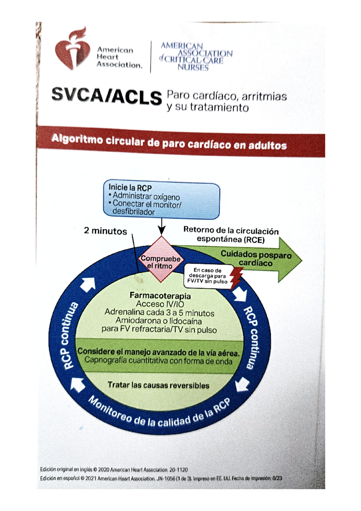 SVCA ACLS algoritmo de paro cardíaco en adultos - AMERICAN American ...