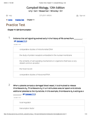 Tissues Study Guide - ANATOMY AND PHYSIOLOGY TISSUES TEST - STUDY GUIDE ...