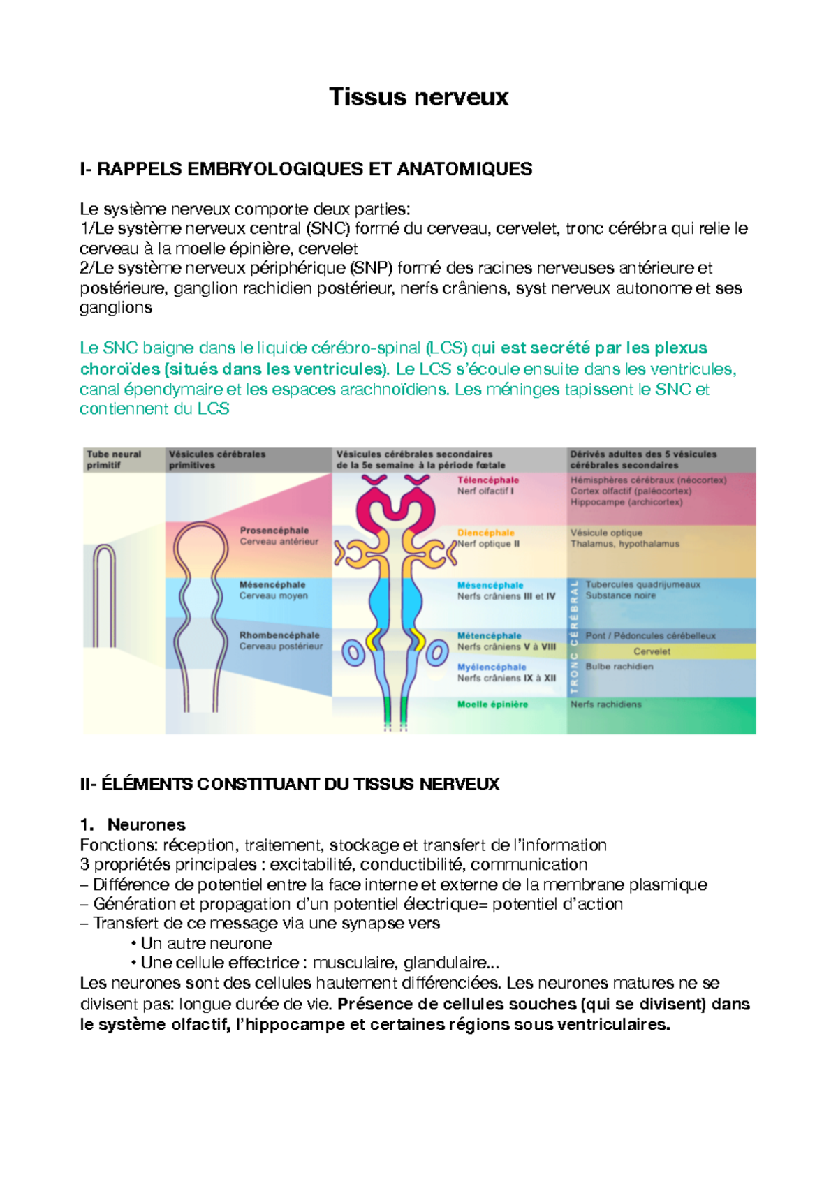 Tissus nerveux - cours - Tissus nerveux I- RAPPELS EMBRYOLOGIQUES ET ...