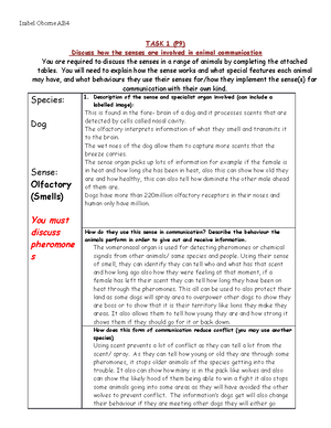 Ring taild lemur Task 2 Ethograms P5,P6 - Task 2 Ethograms Ring Tailed ...