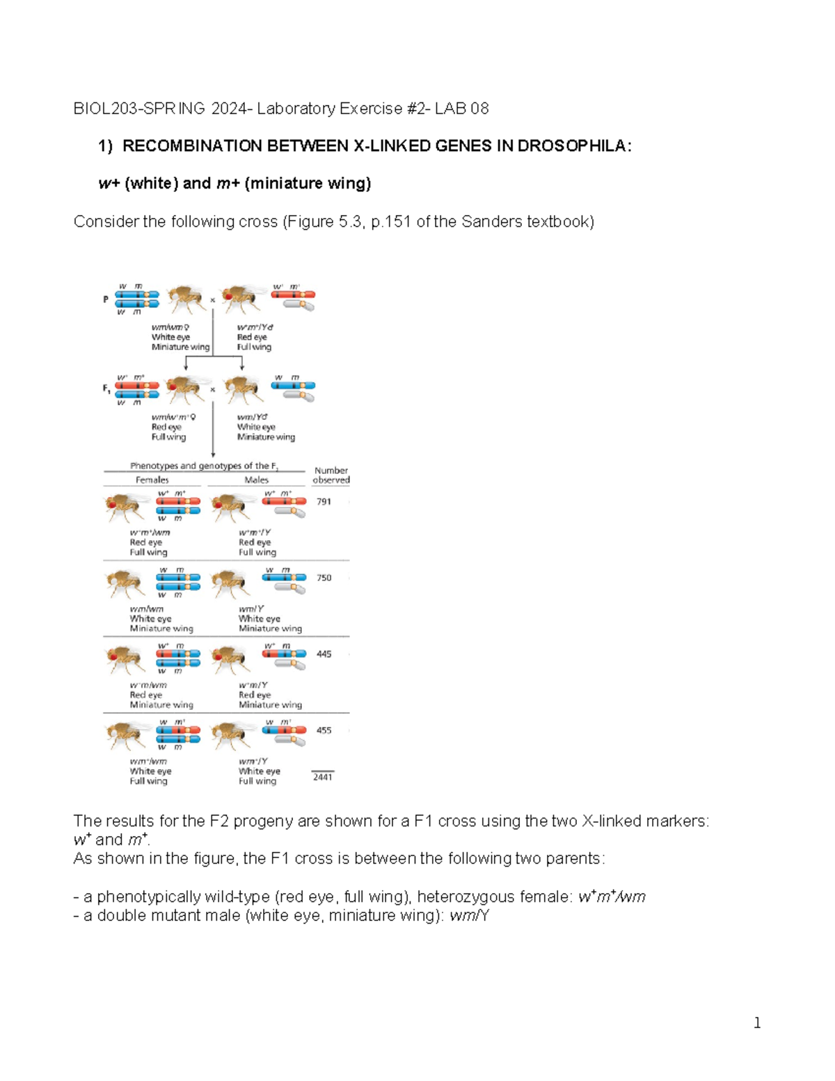 Lab08-exercises 2- Spring 2024 - BIOL203-SPRING 2024- Laboratory Exercise #2- LAB 08 1) - Studocu