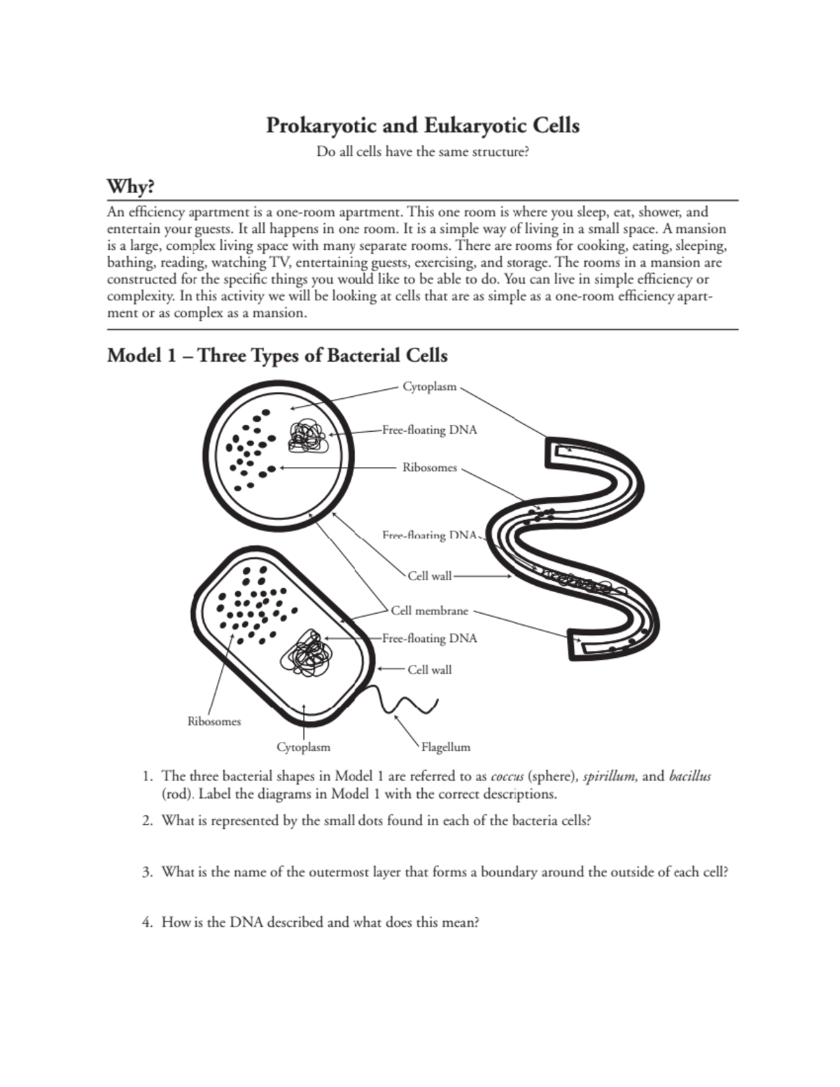 Bio Unit 3 HW Packet H - Prokaryotic and Eukaryotic cells - Worksheet ...