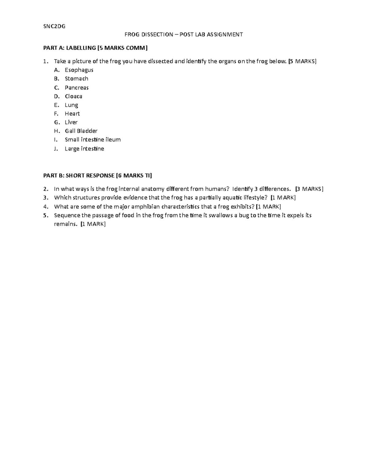 Frog Dissection Post Lab - SNC2DG FROG DISSECTION – POST LAB ASSIGNMENT ...