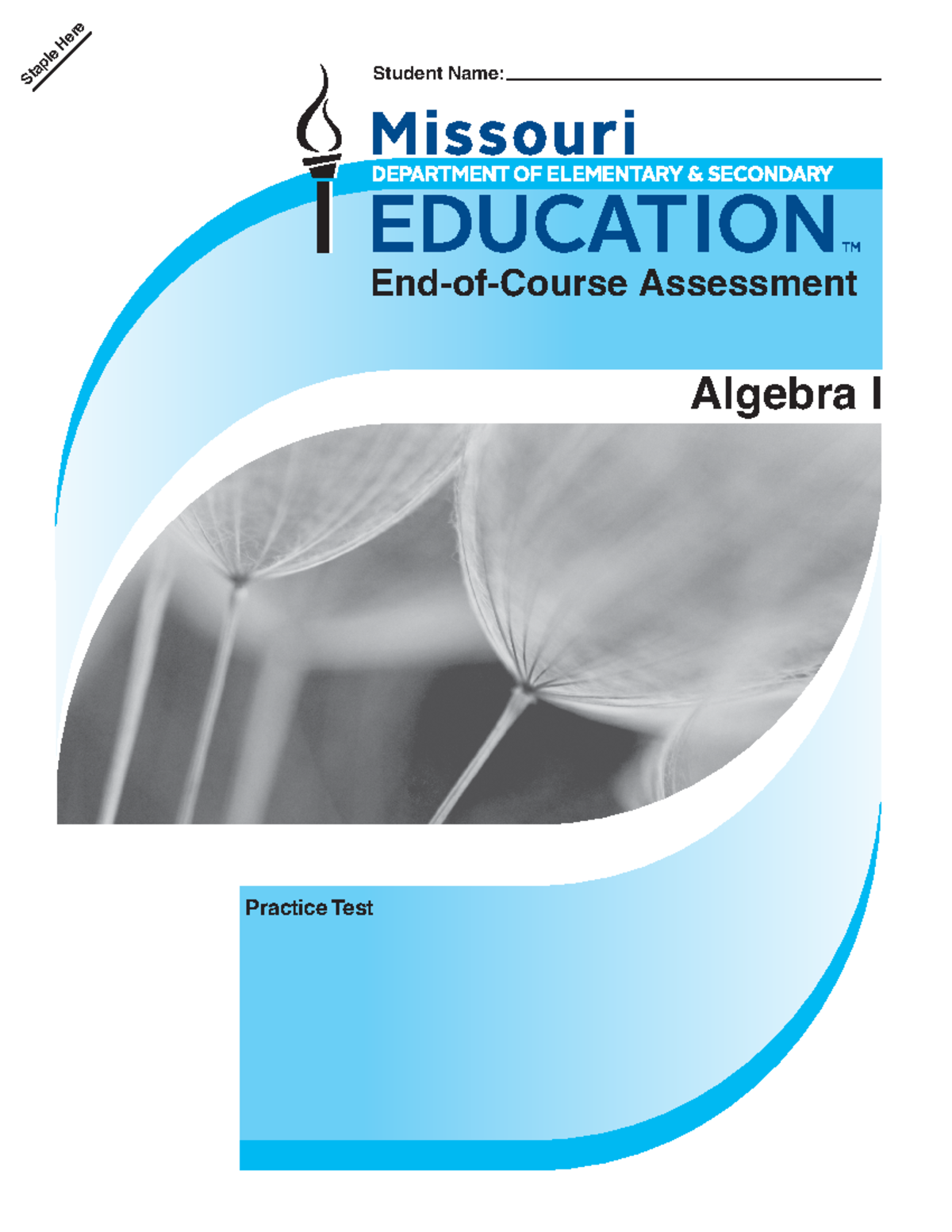 Asmt eoc practice form alg1 - Student Name: End-of-Course Assessment ...