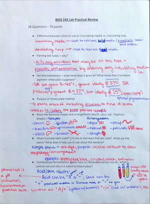 BIO 256 WK 5 LAB- Review OF WK 5 FOR EXAM 3 - BIOS-242 - Chamberlain ...