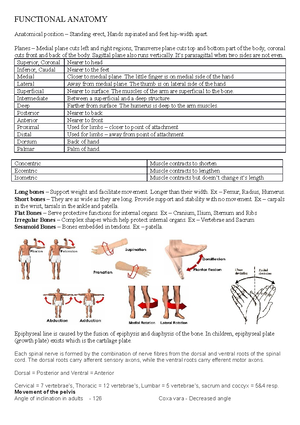 Week 3 Lecture Chunk 1 Knee Joint - Week 3 Lecture Chunk 1 Knee Joint ...