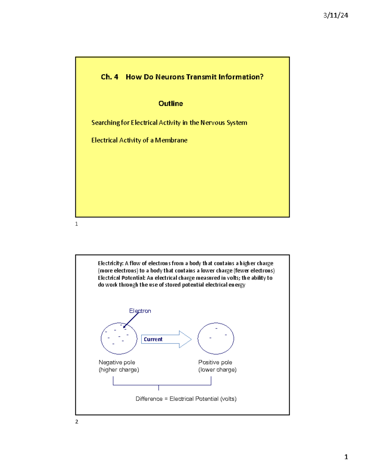Exam 2 review - Ch. 4 How Do Neurons Transmit Information? Outline ...