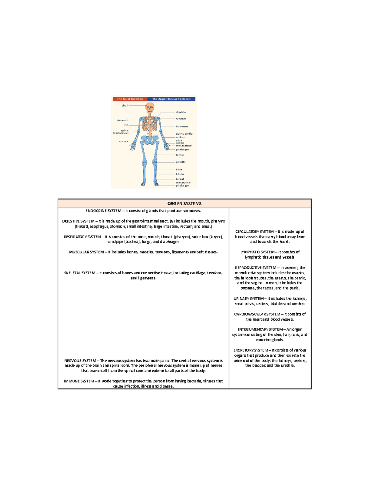 Codons - HJHJK - ORGAN SYSTEMS ENDOCRINE SYSTEM – It consist of glands ...