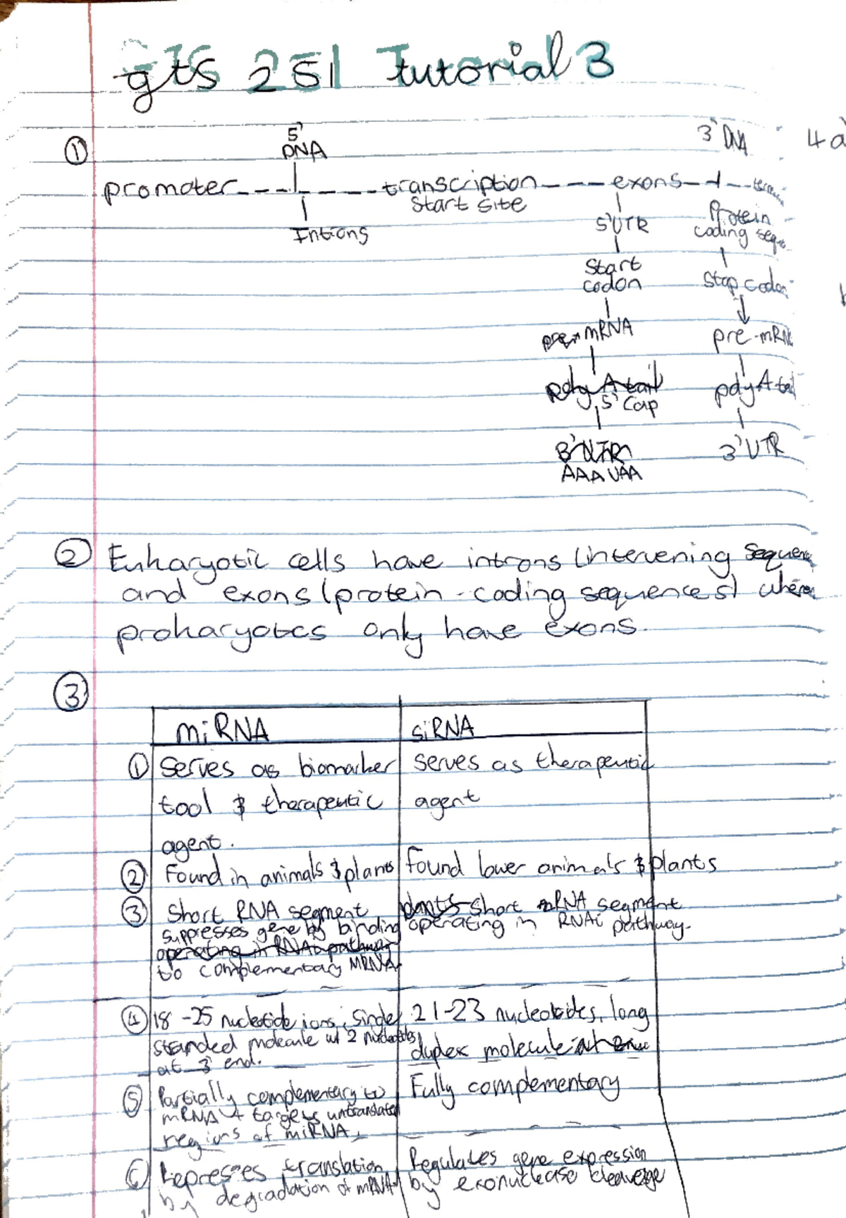 Gts 251 tutorial assignment 3 - GTS 251 - Studocu