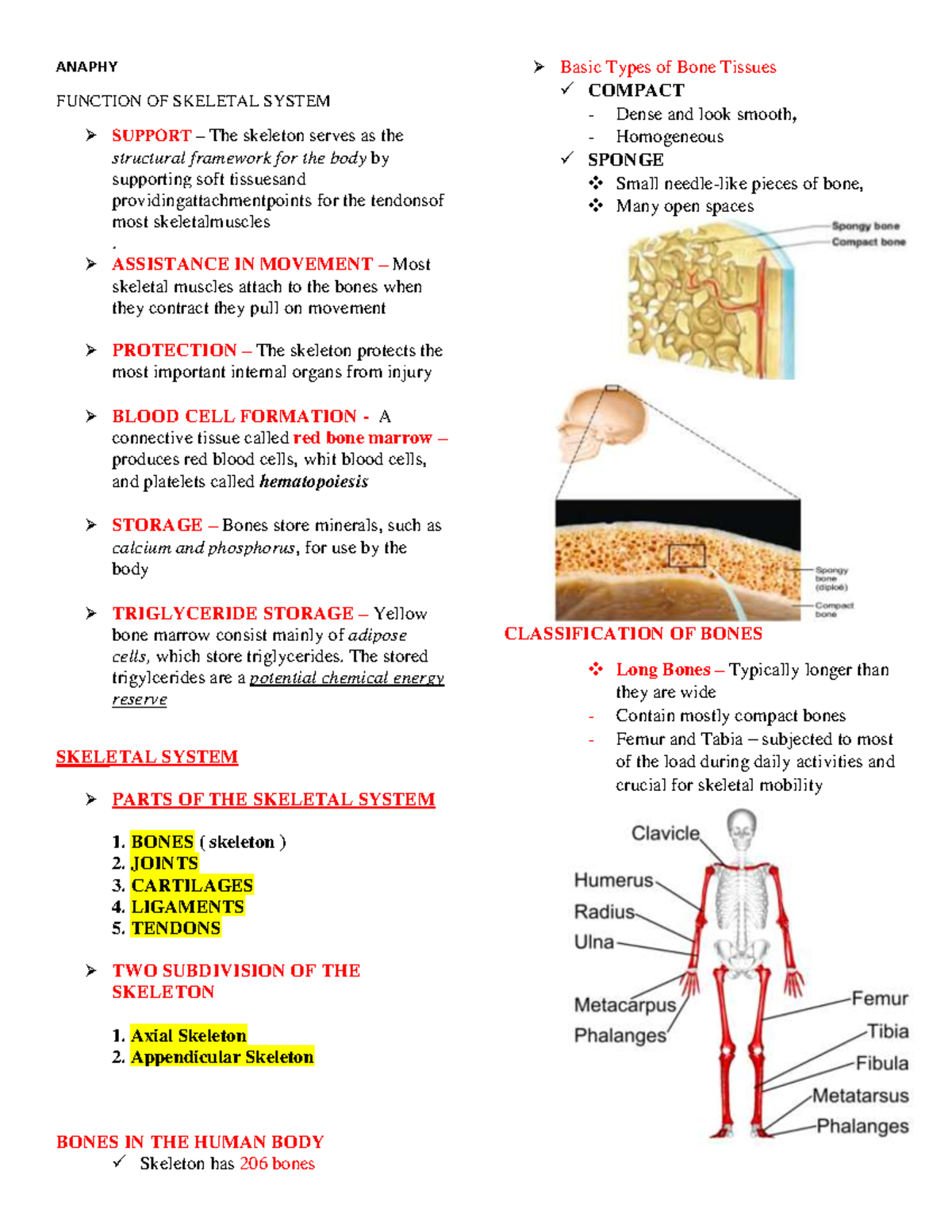 Anaphy midterm - aral well - ANAPHY FUNCTION OF SKELETAL SYSTEM SUPPORT ...