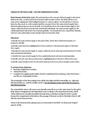 VMED 5124 Lecture Notes Pelvis Urogenital Systems F22 - PELVIS and ...