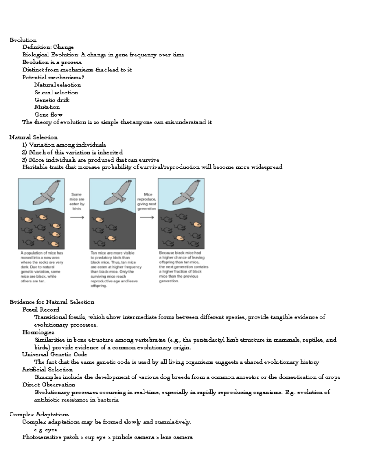 Evolution - Homologies Similarities in bone structure among vertebrates ...