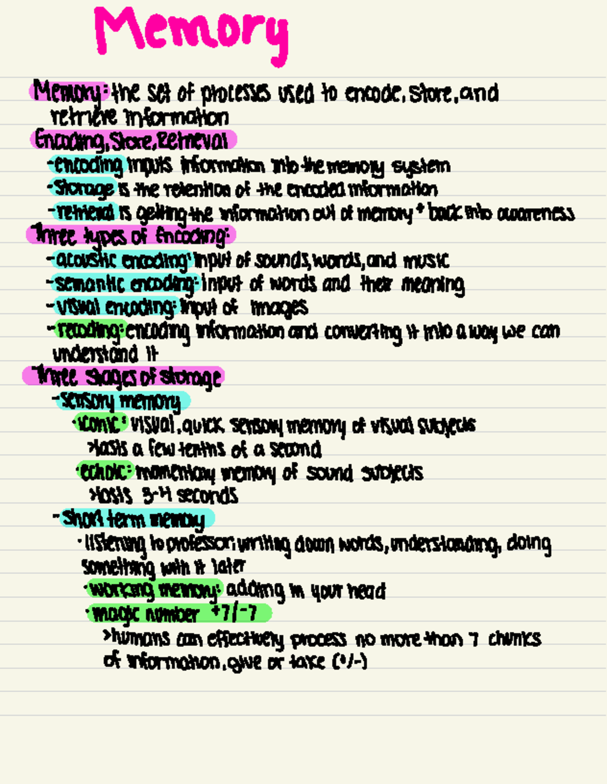 Memory - Memory Memory: the set of processes used to encode, store, and retrieve information ...