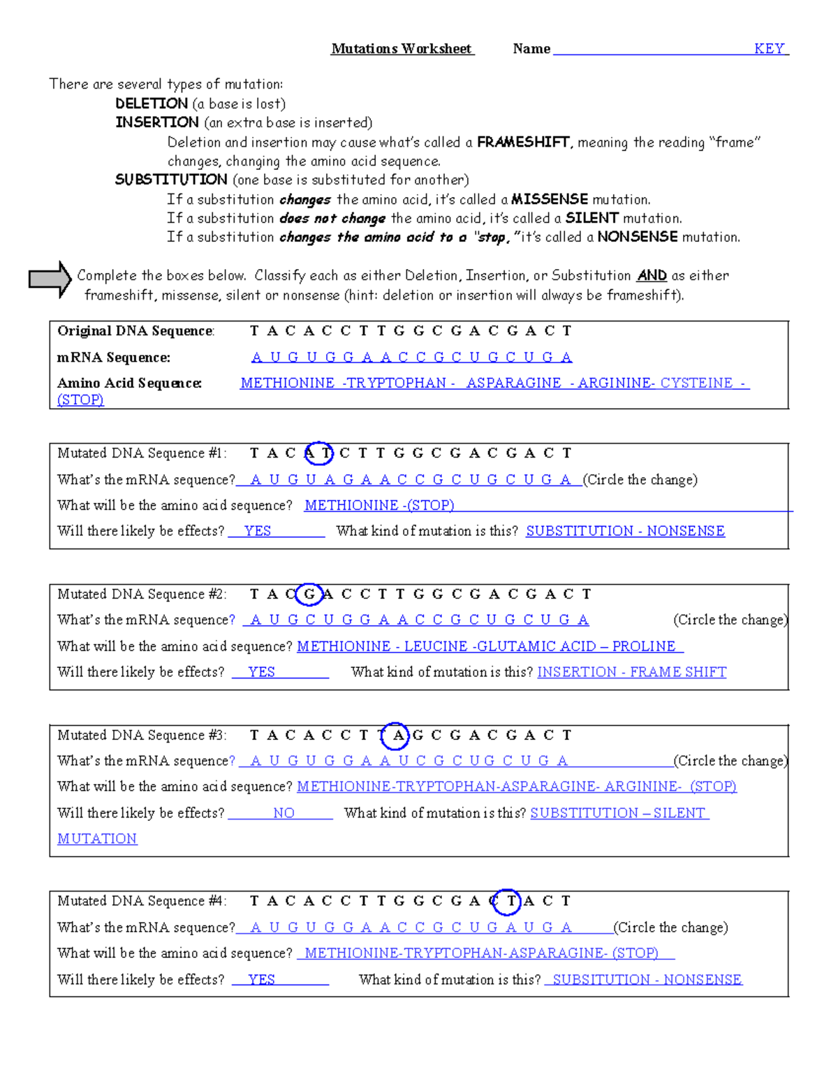 Mutations - ws - key - copy2 - Mutations Worksheet Name KEY There are ...