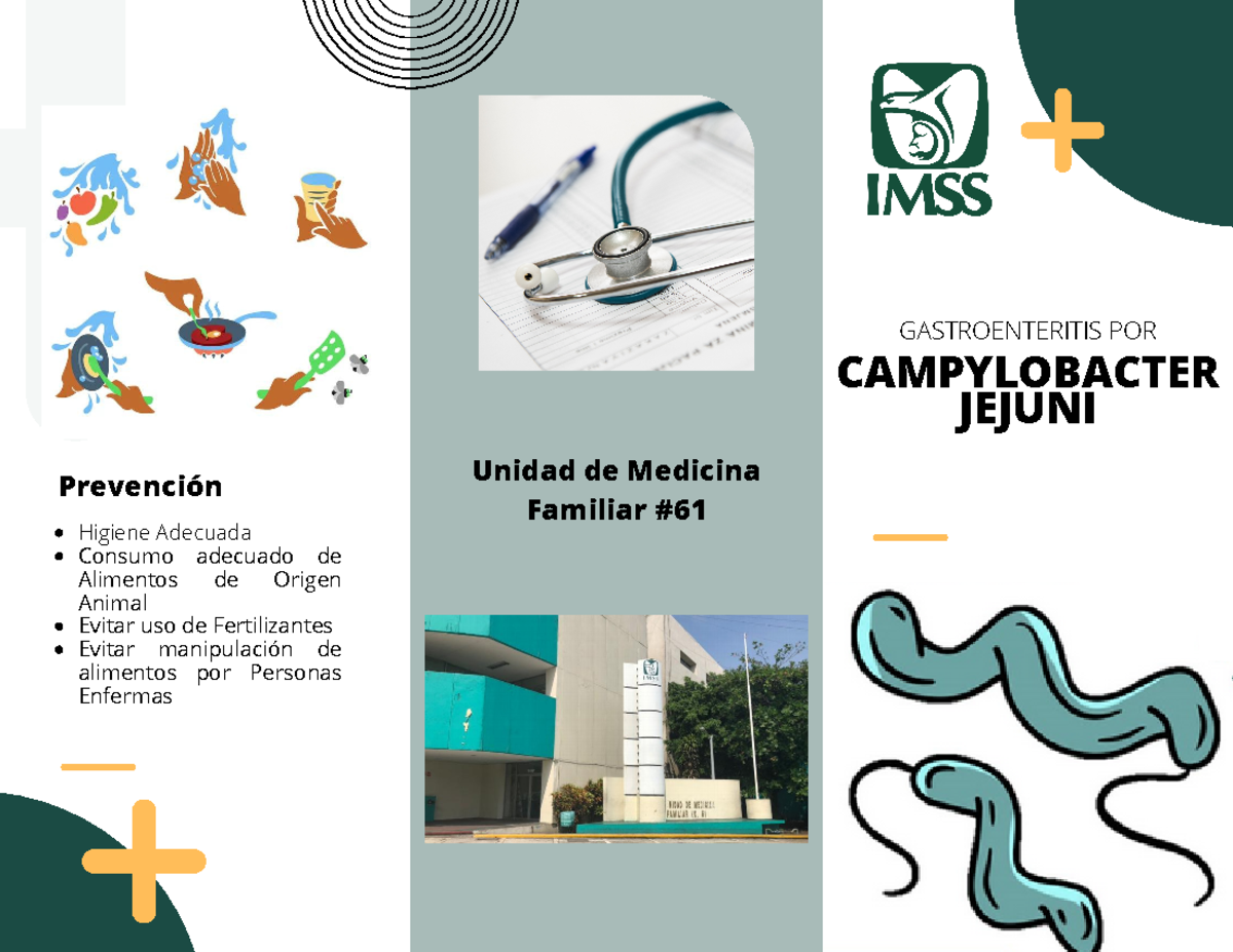 C. Jejuni - Microbiología - CAMPYLOBACTER JEJUNI Unidad de Medicina ...
