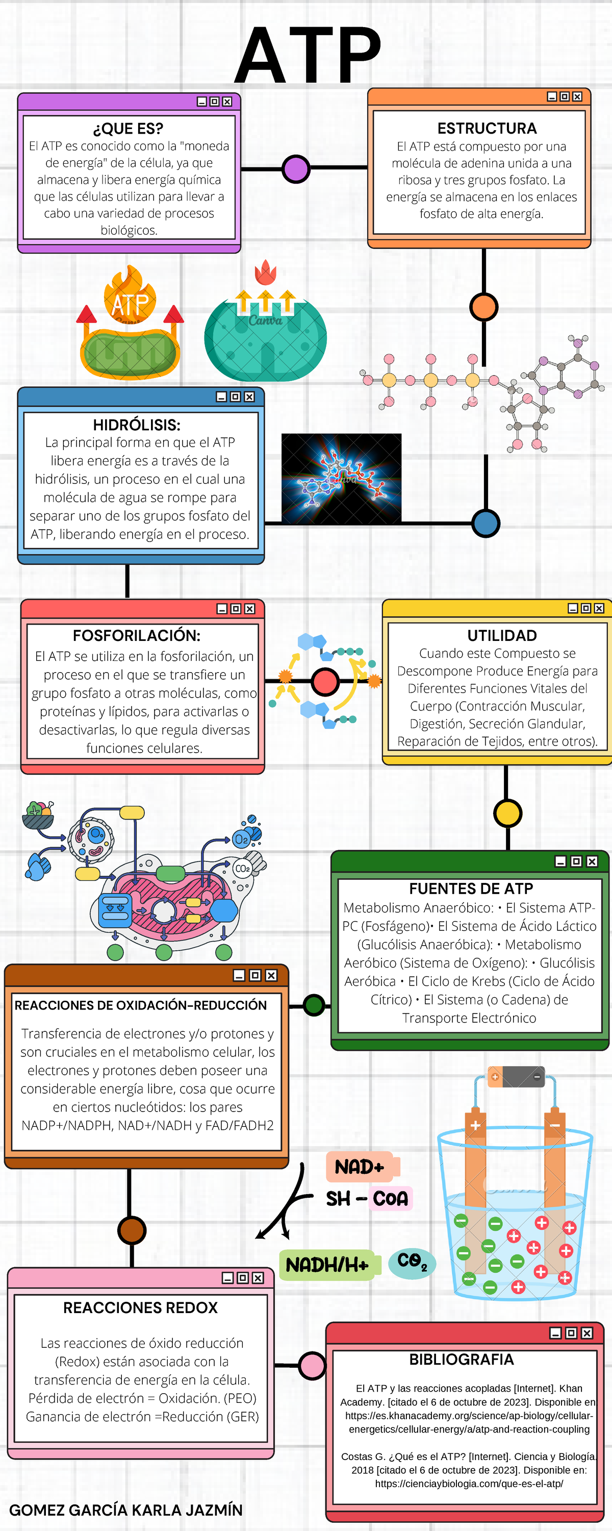 Infografia ATP - Resumen bioquímica humana - ATP ¿QUE ES? El ATP es ...