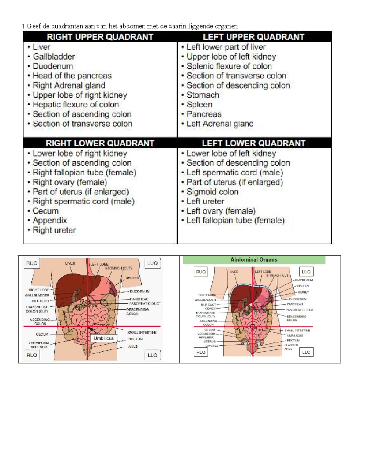 anatomie van het borstholte en buikholte - 1 Geef de quadranten aan van ...