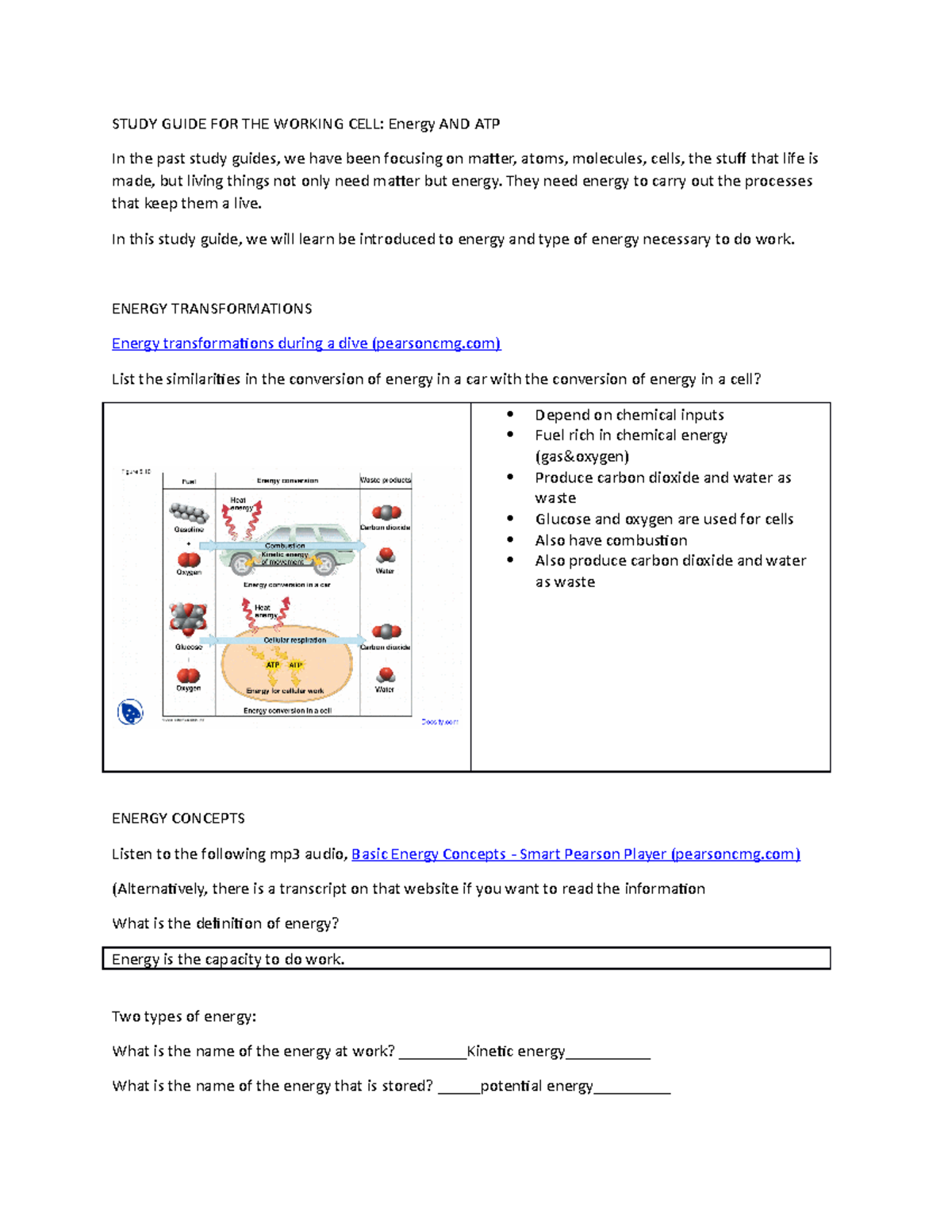 Study guide working cell-1 - STUDY GUIDE FOR THE WORKING CELL: Energy ...