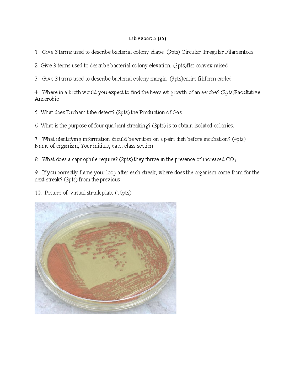 Lab 5 Report-3 - micro - Lab Report 5 (35) Give 3 terms used to ...