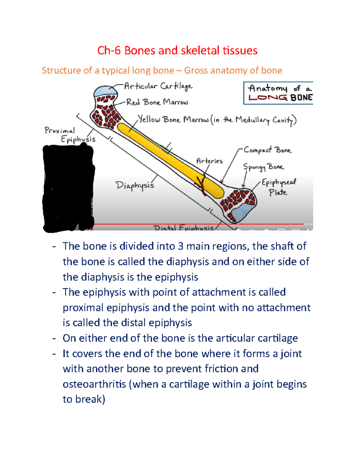 Ch-6 bone - I tried to compile the information I found useful into bite ...