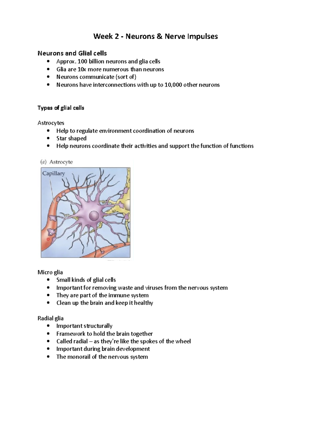 Week 2 - Neurons & Nerve Impulses - Week 2 - Neurons & Nerve Impulses ...