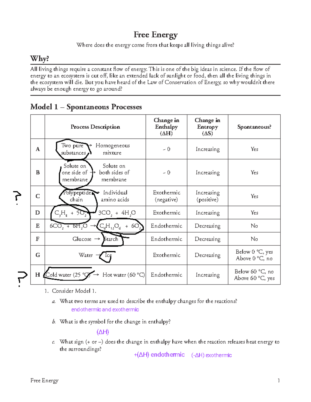 POGIL 8 Free Energy - Free Energy 1 Free Energy Where does the energy ...