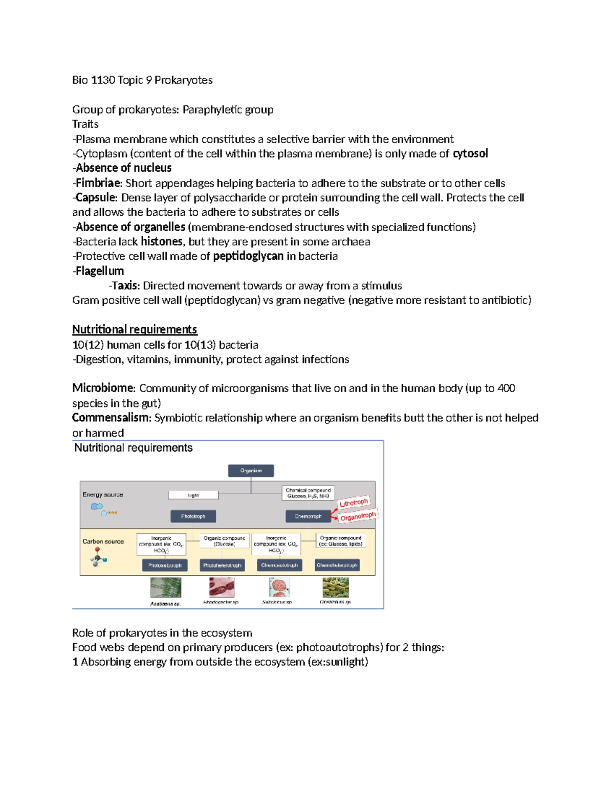 Bio 1130 Topic 9 Prokaryotes - Bio 1130 Topic 9 Prokaryotes Group of ...